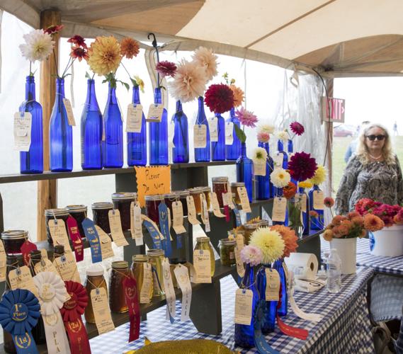 Island Fair returning to Tom Nevers | Lifestyle | ack.net