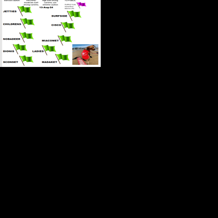 Today's Beach Report: Another day in paradise | Weather | ack.net