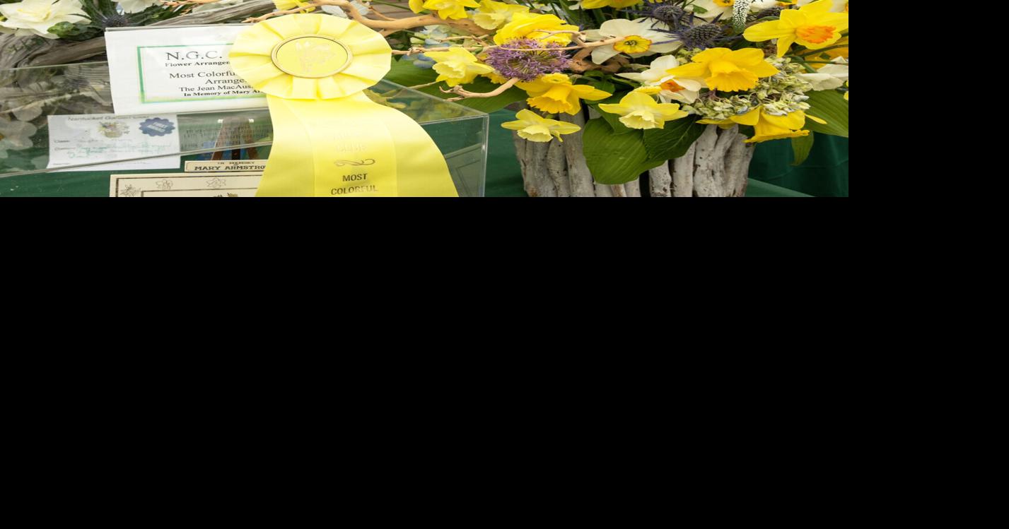 Daffodils say spring: Tips for the perfect arrangement | Lifestyle ...