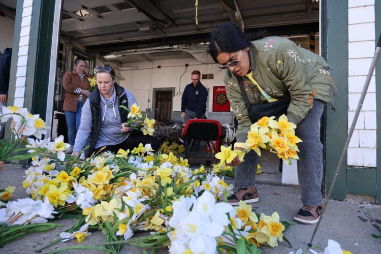Photo Gallery: Daffodil wreath decoration at Station Brant Point ...