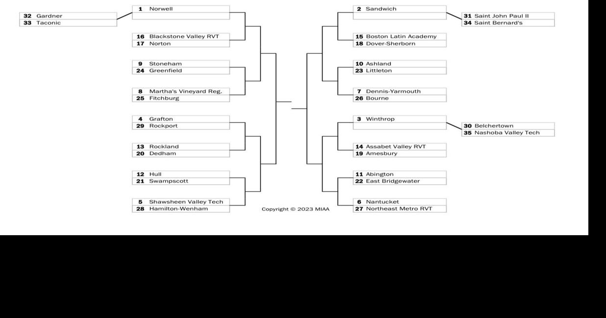 Boys hockey sixth, boys hoops 20th in state tournament brackets ...