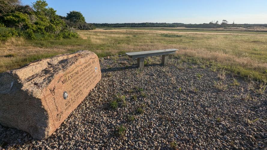 Sunset stroll: Cranberry bogs in bloom | Environment | ack.net