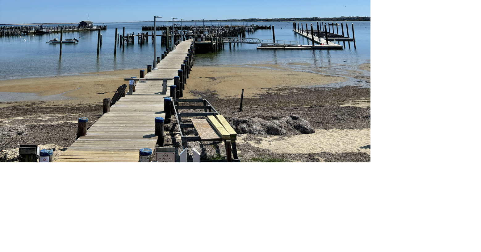 Waterfront News: Patiently waiting | Sport Fishing | ack.net