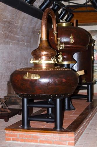 Cognac, the world’s most refined brandy | Eat & Drink | ack.net