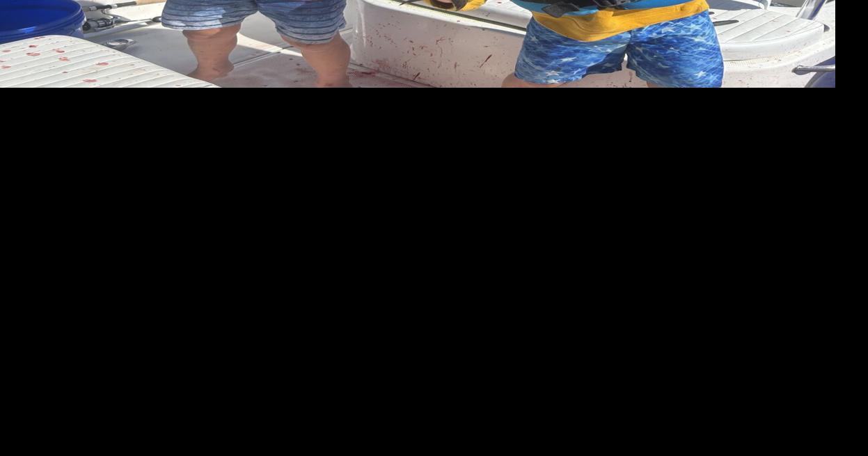 Bonito driving the late-summer fishery | Sport Fishing | ack.net