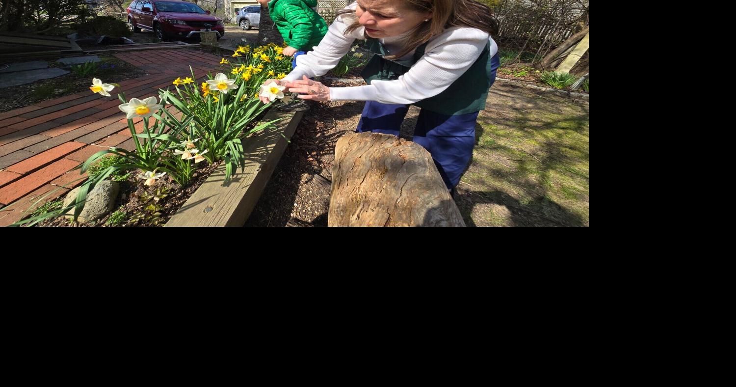 Starting young: Daffodils for kids | Lifestyle | ack.net
