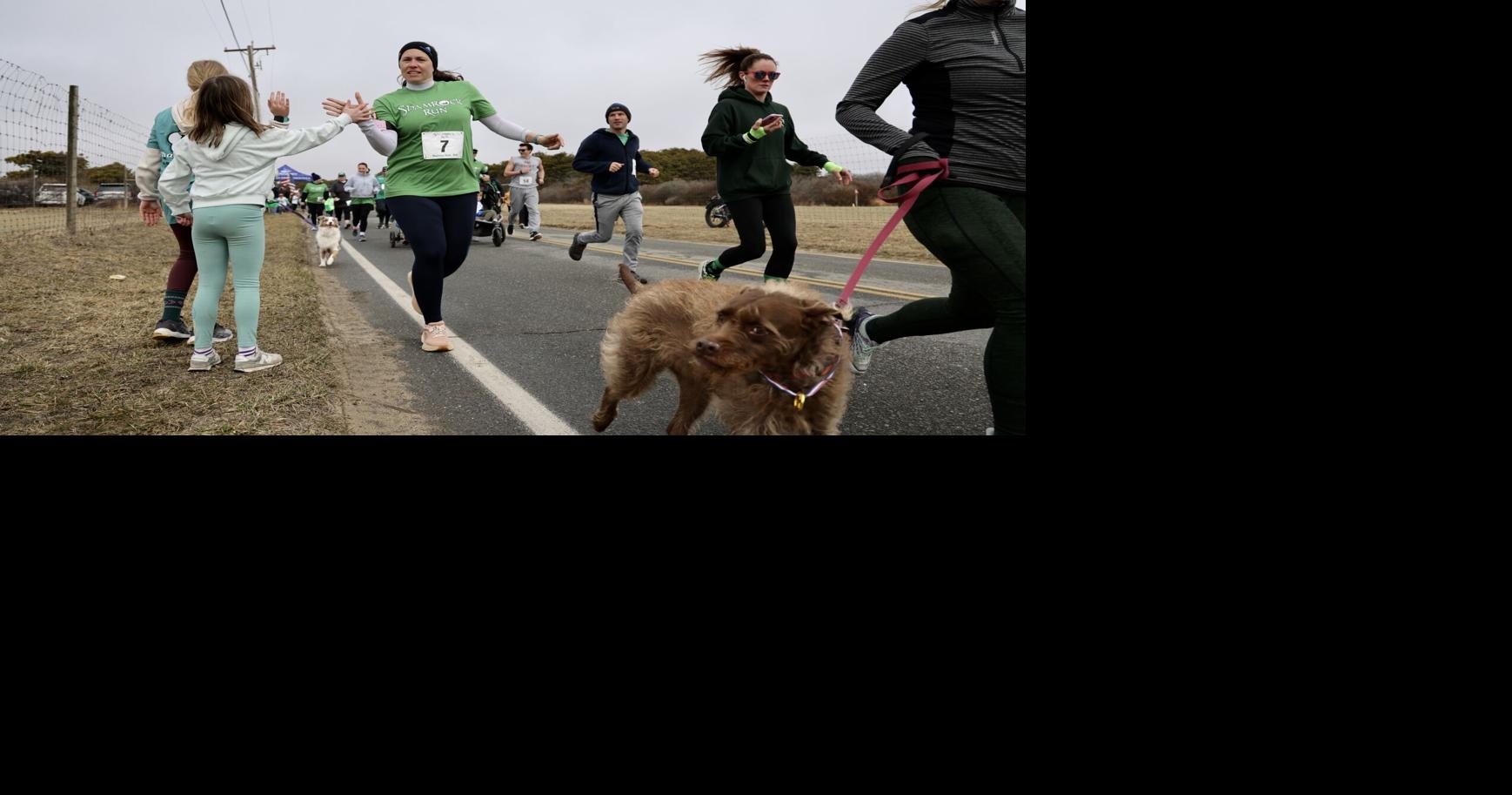 ShamRock Run hits the streets for NiSHA | News | ack.net