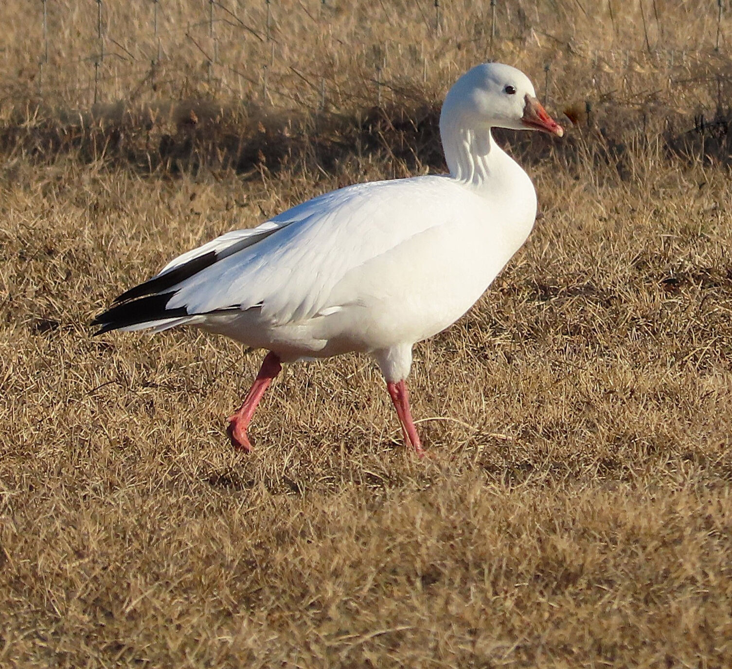 Page B3 | e-Edition | ack.net