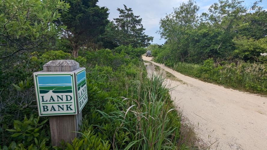 A laybrinth of nature at the Peter Folger Homestead | Environment | ack.net