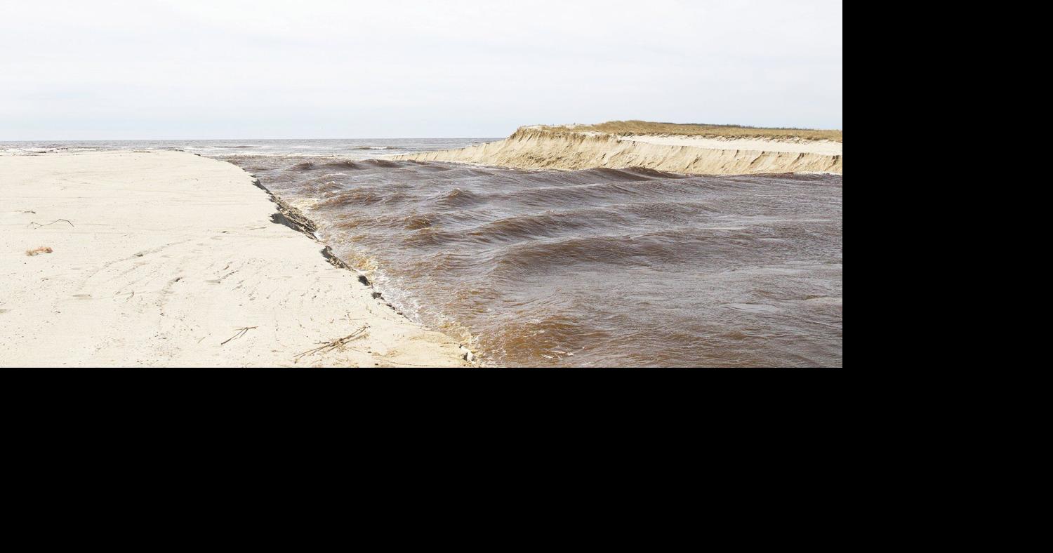 Sesachacha and Hummock ponds opened this week | News | ack.net