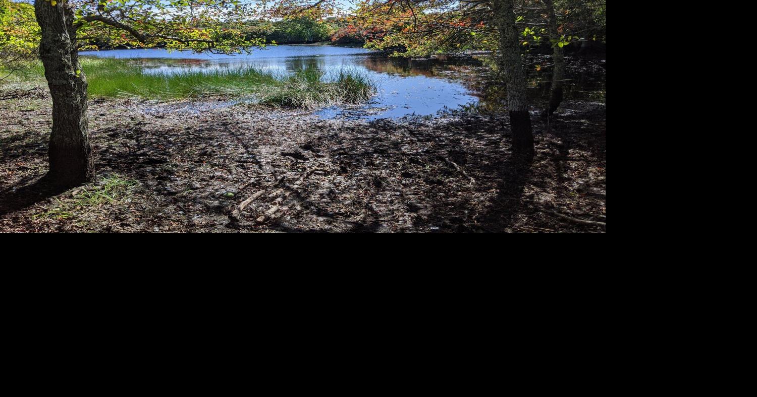 Folger’s Hill: Hidden beauty in the middle moors | Lifestyle | ack.net