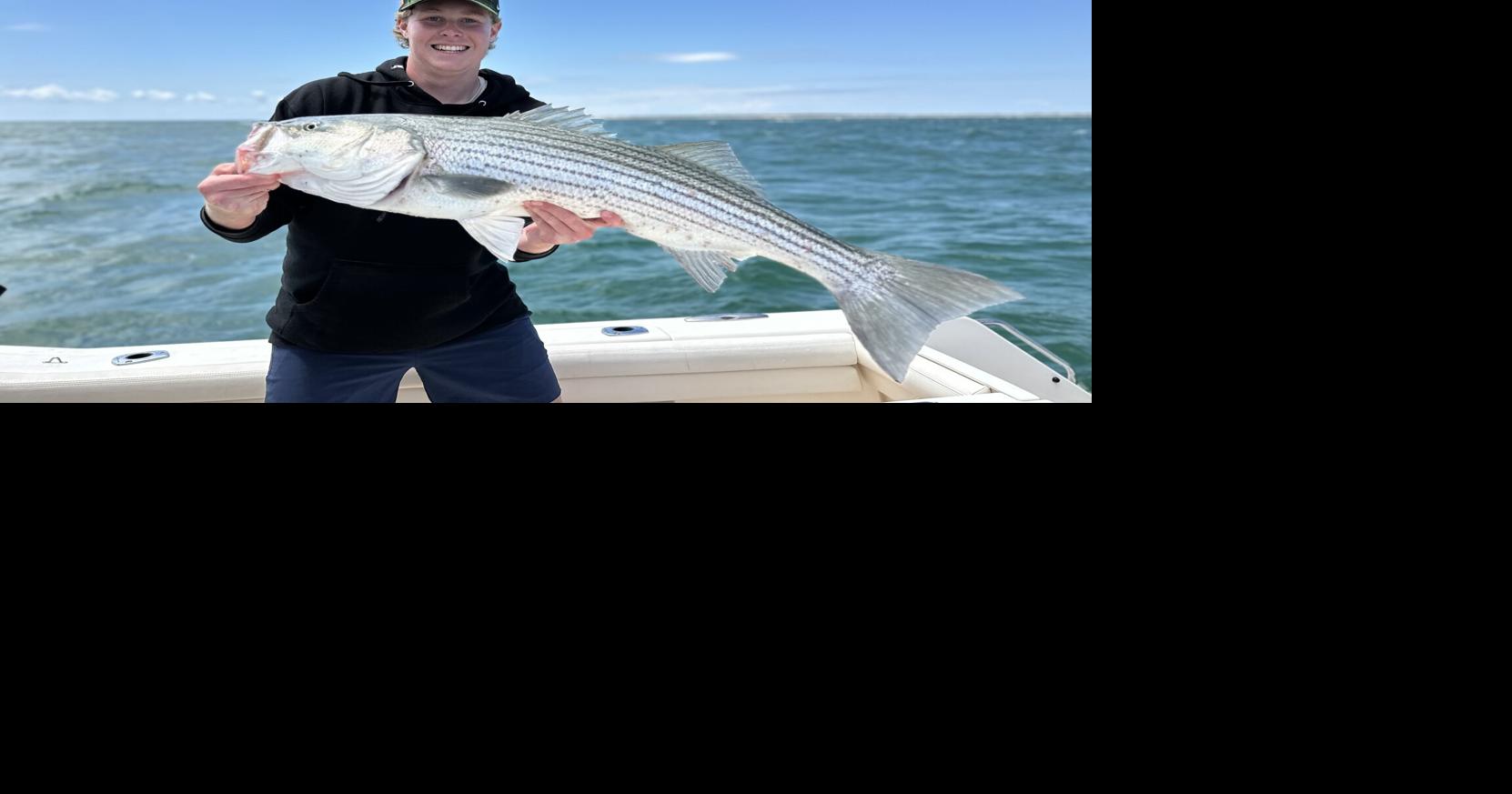 Enjoy: Best striped bass fishing in years | Lifestyle | ack.net