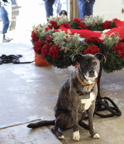 Photo Gallery: Brant Point Wreath Raising | Lifestyle | ack.net