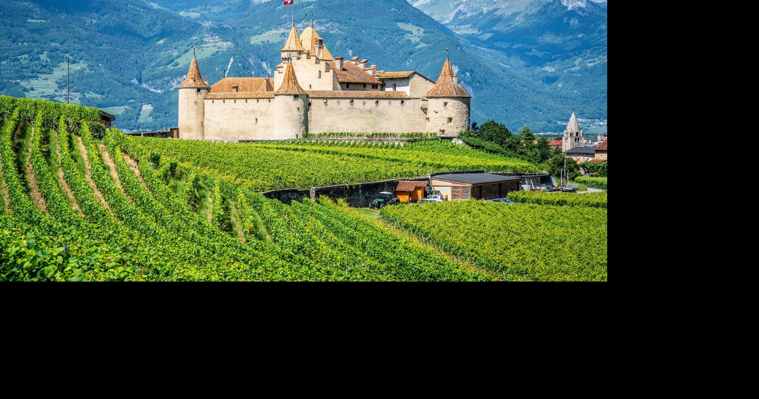 Don’t underestimate wines of the northern Rhone | Eat & Drink | ack.net