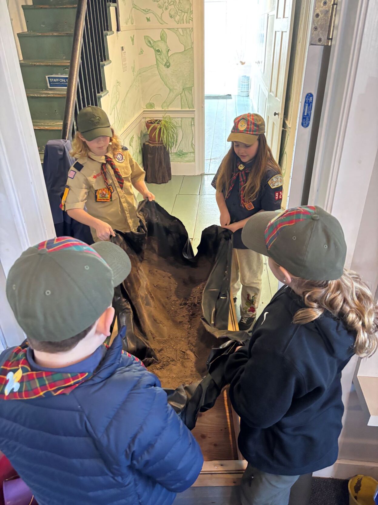 Turtle time: Cub Scouts create tortoise habitats for Maria Mitchell ...