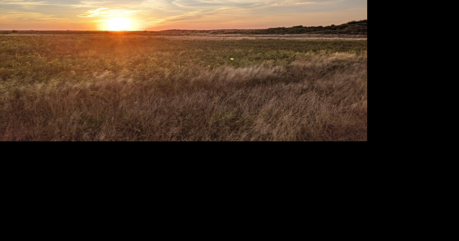 A sunset stroll through Head of the Plains | Environment | ack.net
