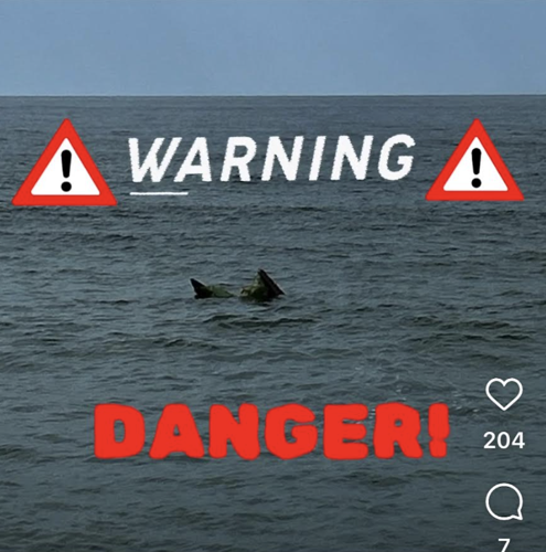 Vineyard Wind Collapse: Complete Coverage Here | Environment | ack.net