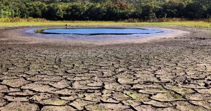 Small ponds drying up across the island due to lack of rainfall ...