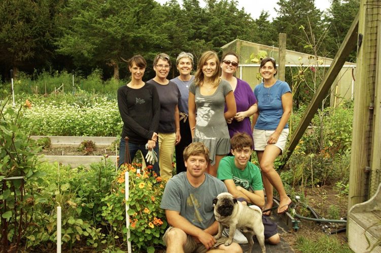 Reducing waste: Tackling food insecurity through gleaning | Business | ack.net