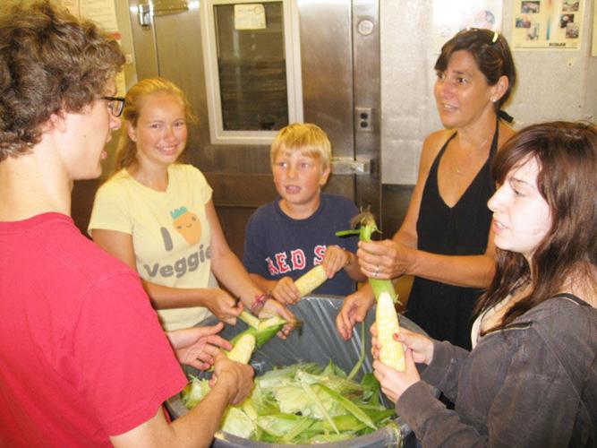 Reducing waste: Tackling food insecurity through gleaning | Business | ack.net