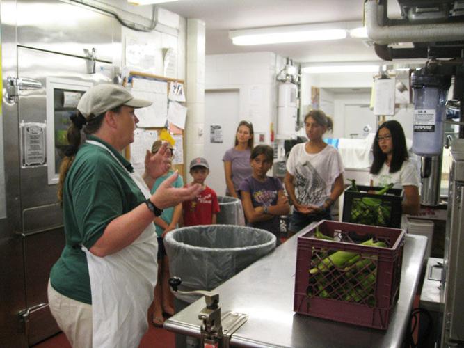 Reducing waste: Tackling food insecurity through gleaning | Business | ack.net