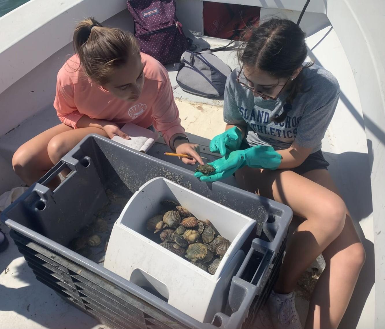 Maria Mitchell launches marine science mentor program | Education | ack.net