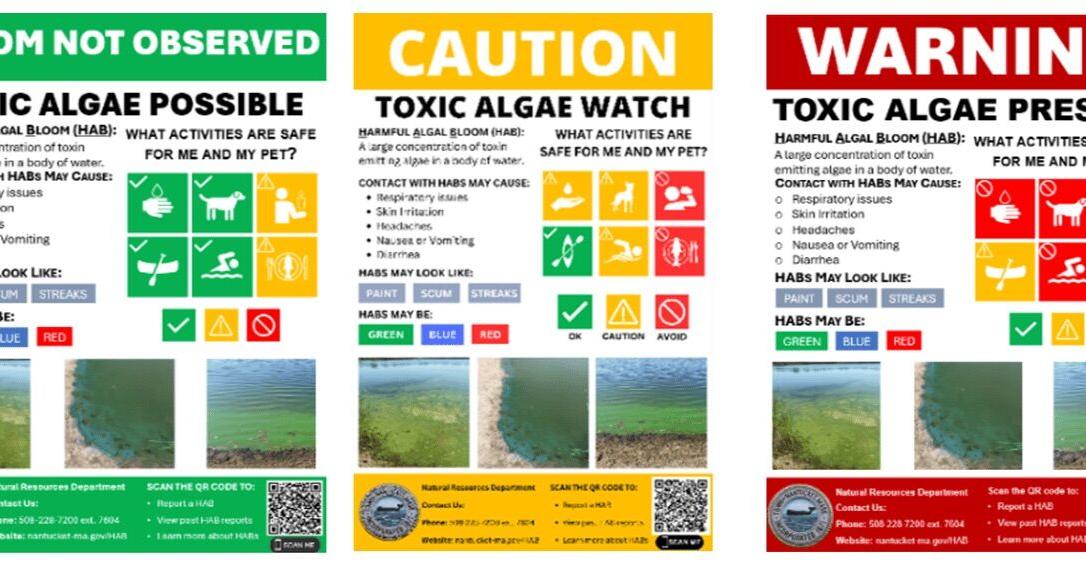No harmful algae blooms reported as testing season resumes | News | ack.net