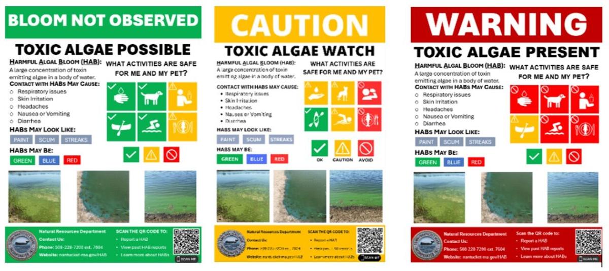 No harmful algae blooms reported as testing season resumes | News | ack.net