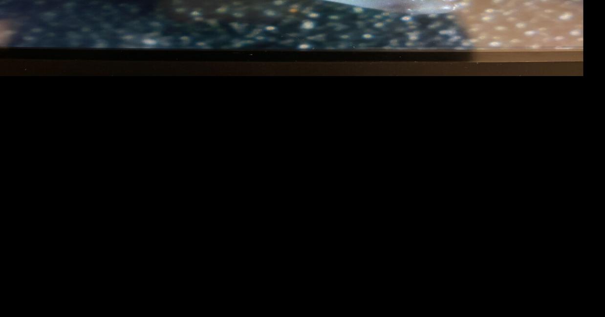 Parasite from Peconic Bay infecting island scallops | Sport Fishing ...