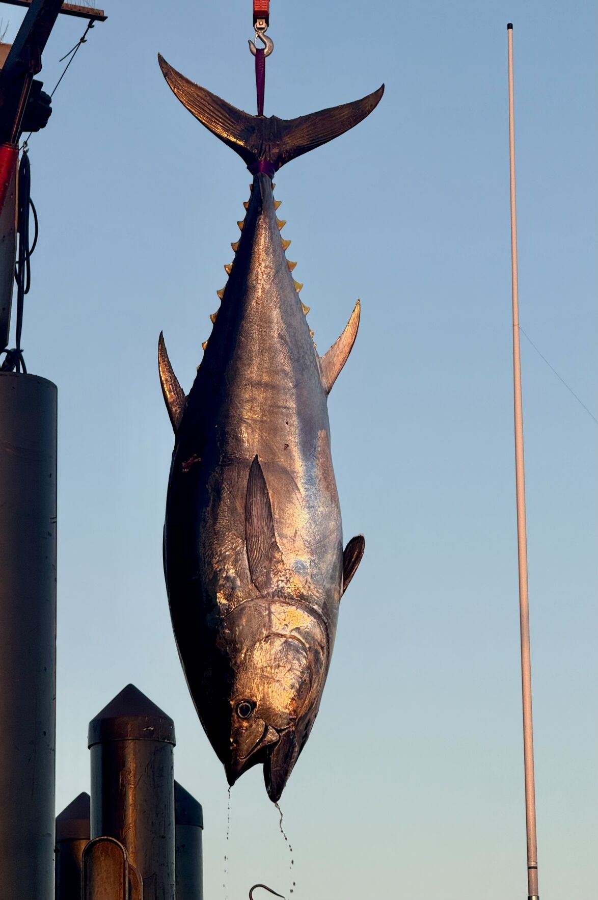 Autumn bringing super moons and giant tuna | News | ack.net