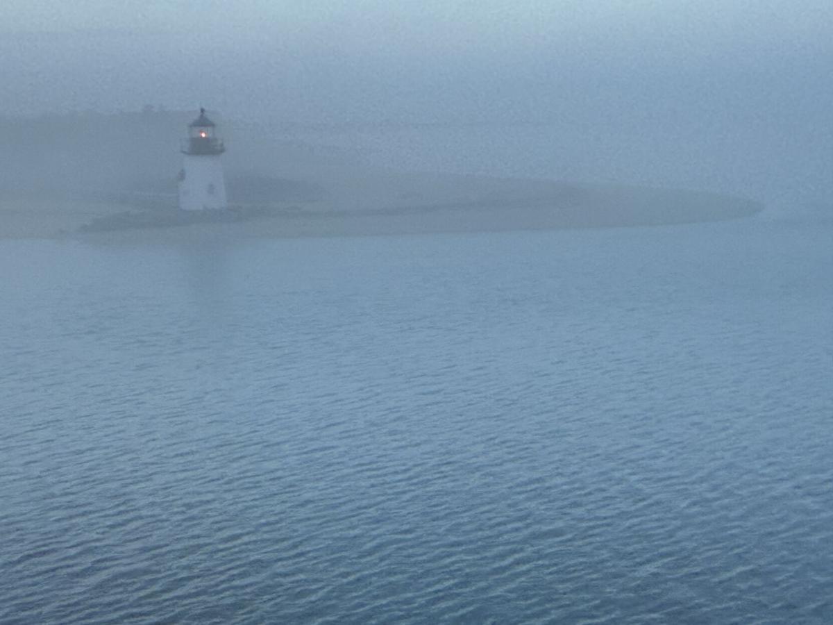 Winter Beauty Readers’ Gallery | Lifestyle | ack.net