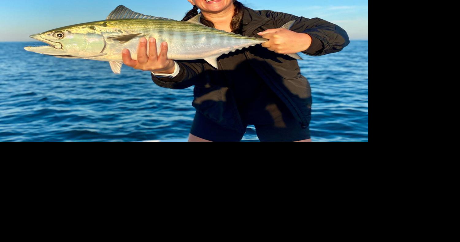 False albacore have arrived with a few bonito | Lifestyle | ack.net