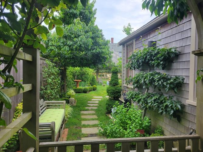 backyard fruit trees ideas