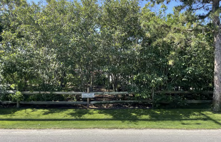 Nonantum Avenue cattle grates, fencing appeal filed in Nantucket ...