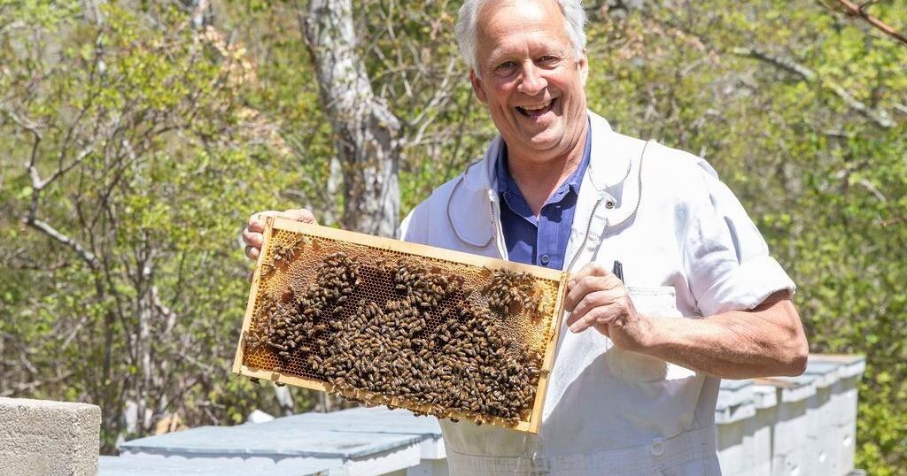 Working Nantucket: The sweet life of an island beekeeper ...