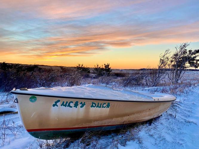 Winter Storm: The Day After Photo Gallery | Photo Galleries | ack.net
