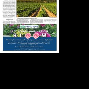 Page D11 | e-Edition | ack.net