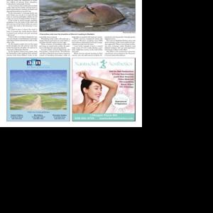 Page D11 | e-Edition | ack.net