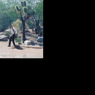 Storm spares Yucca but hits Joshua Tree hard | | adowl.hidesertstar.com