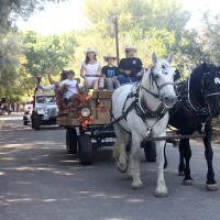 Fall Fiesta fills Covington Park with music, food | | adowl ...