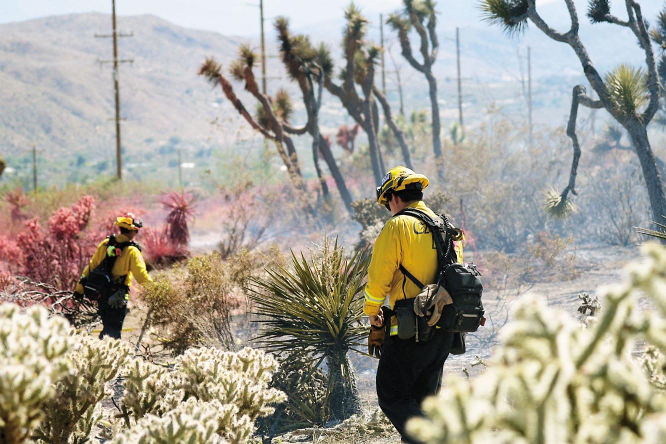 Power line sparks fire in Morongo Valley | | adowl.hidesertstar.com