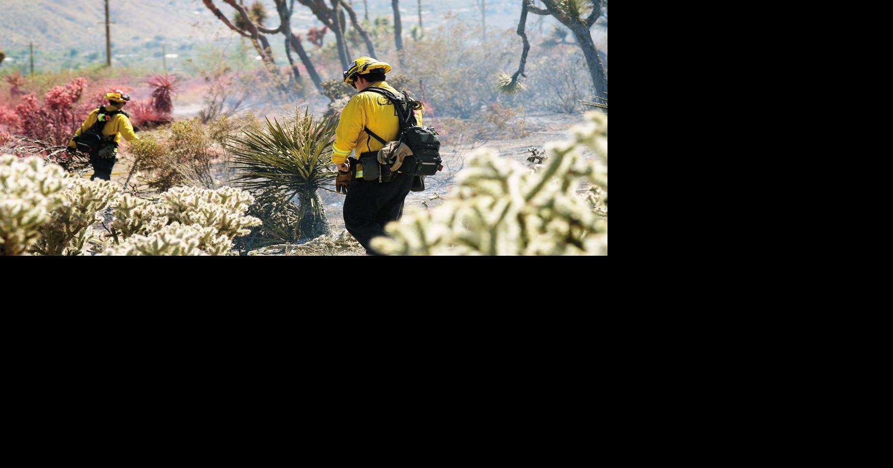 Brush fire caused by marijuana grow bypassing electricity | | adowl ...