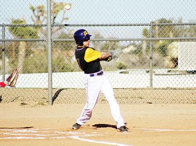 Lightning baseball starts season strong | | adowl.hidesertstar.com