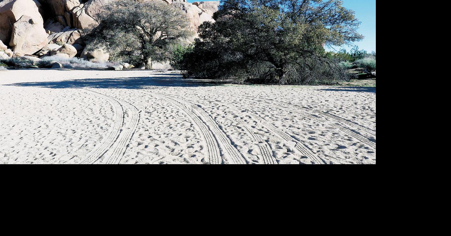 Fires and off-road tracks: Joshua Tree National Park still learning ...