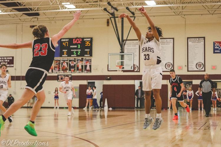 Hardwood highlighted by 10 area stars in 2022-23 | Sports ...
