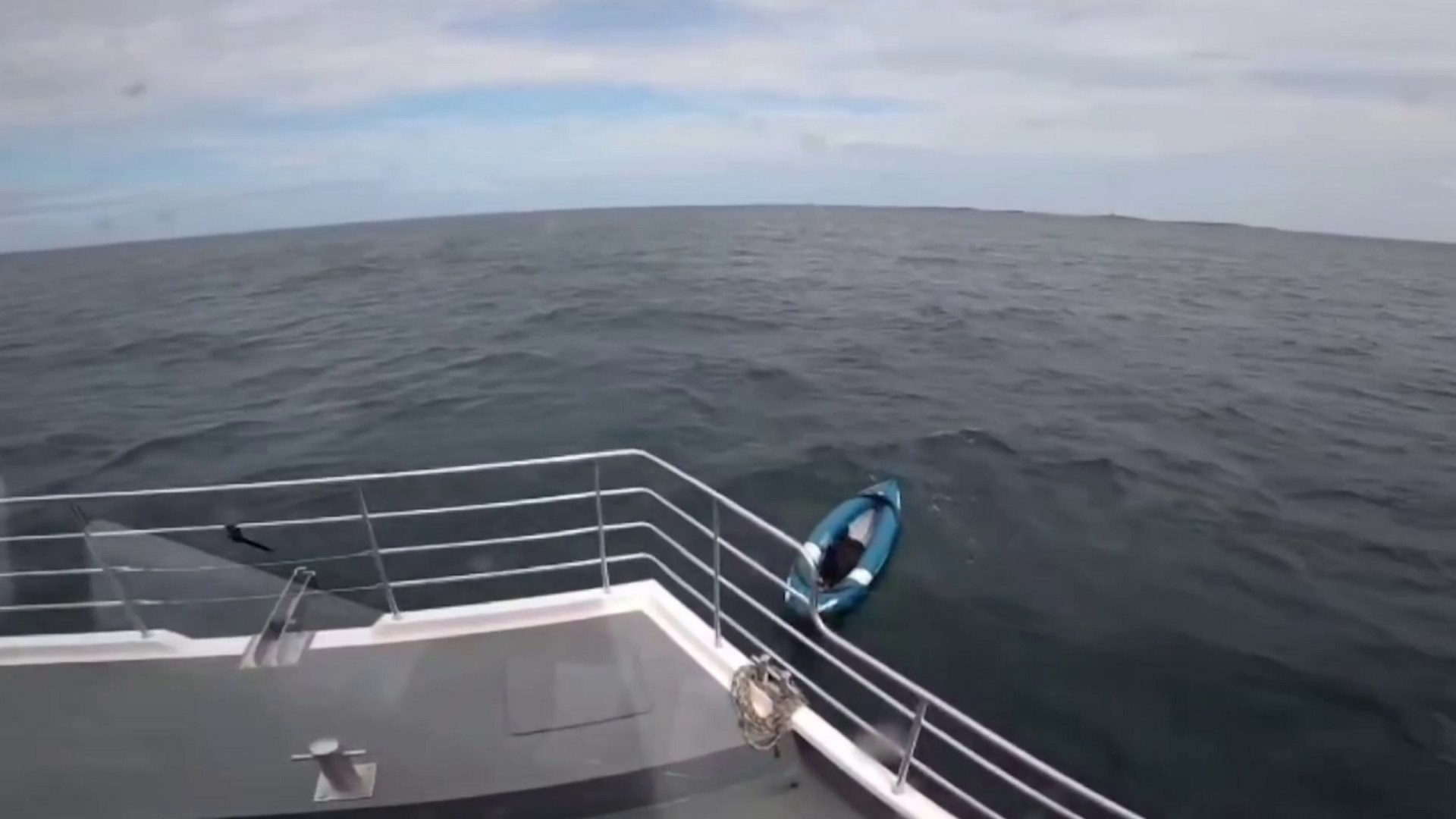 Dog rescued after floating out to sea on kayak | National ...
