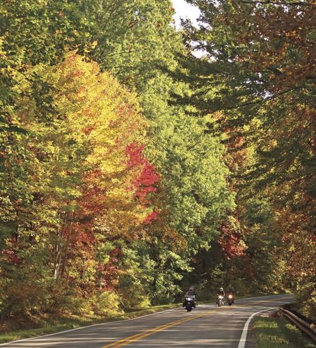 Fall is in the air | News | advocateanddemocrat.com