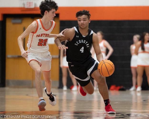 Hardwood highlighted by 10 area stars in 2022-23 | Sports ...