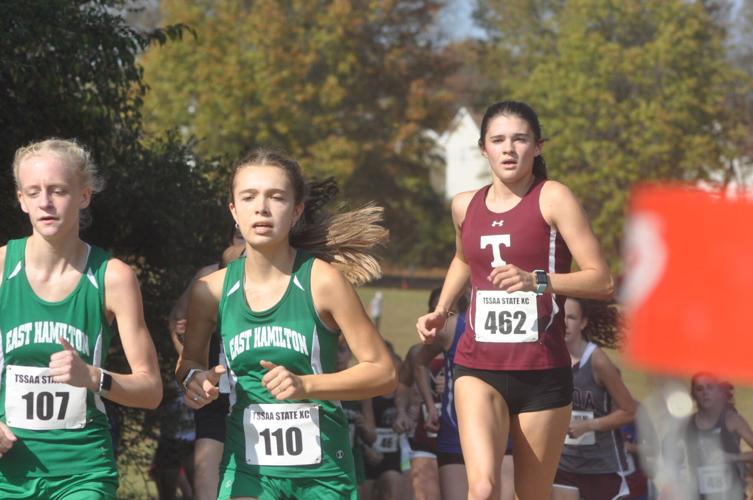 Darrah Wiseman legacy deeper than gold medals, championships | Sports ...