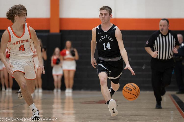 Hardwood highlighted by 10 area stars in 2022-23 | Sports ...